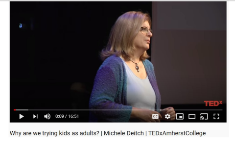 Why Are We Trying Kids As Adults Michele Deitch Tedxamherstcollege